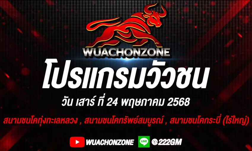 โปรแกรมวัวชน วันที่ 24 พฤษภาคม 2568